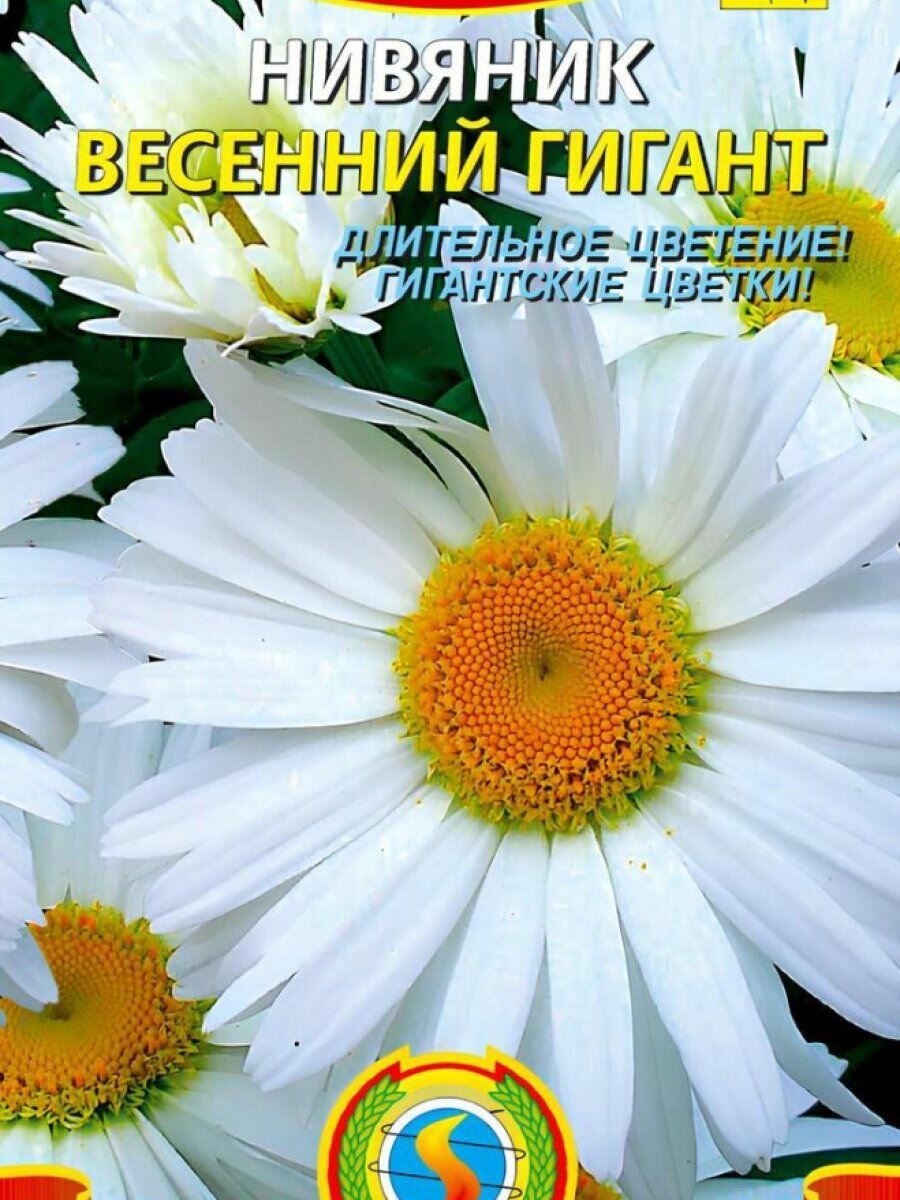 Нивяник Весенний Гигант 0,2 г, Плазменные семена