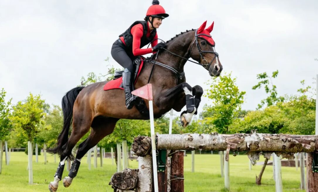 Вальтрап конкурный Close Contact Square, LeMieux (Красный)