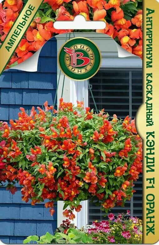 Семена Антирринум кас. Кенди F1 Оранж Биотехника