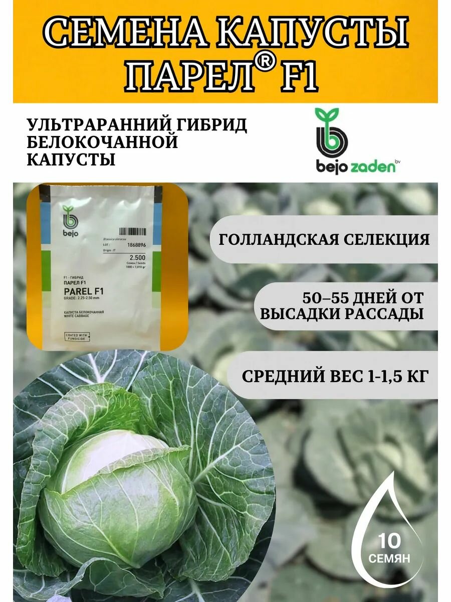 Семена белокочанной капусты Bejo Парел F1, скороспелый гибрид, 10 семян