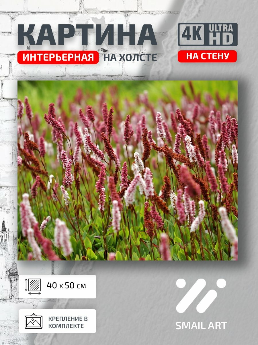 Картина на холсте интерьерная 40 на 50 на стену Трава Landscape для гостиной пейзаж декор