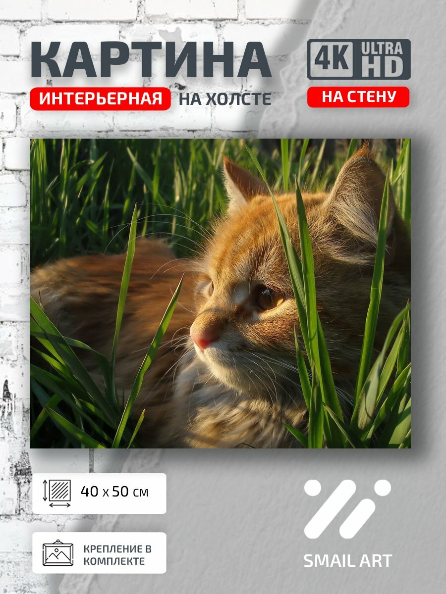 Картина на холсте интерьерная 40 на 50 на стену Траве Animal для детской animal style декор