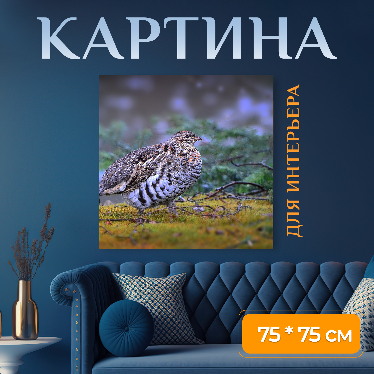 Картина на холсте "Тетерев, птица, животное" на подрамнике 75х75 см. для интерьера