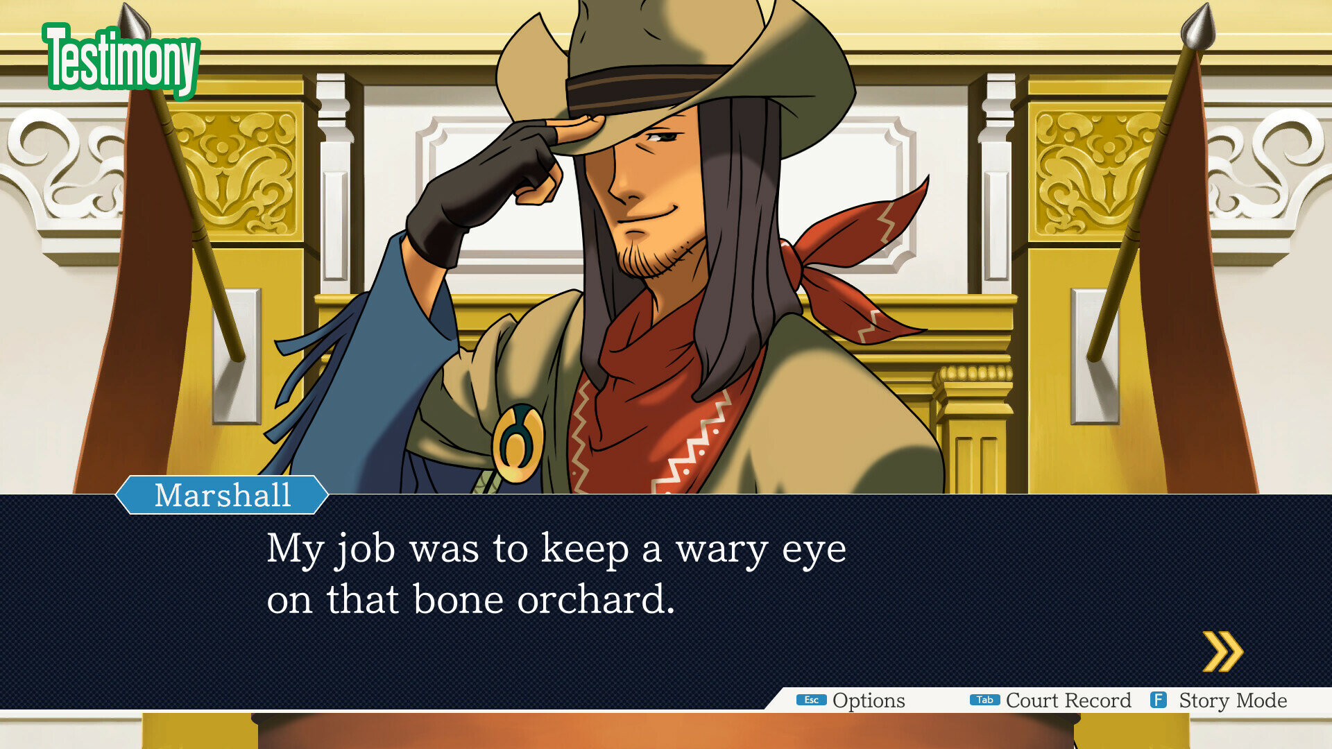 Phoenix Wright: Ace Attorney Trilogy, Все страны — фото 1