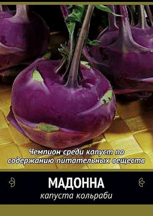 Коллекционные семена капусты кольраби Мадонна