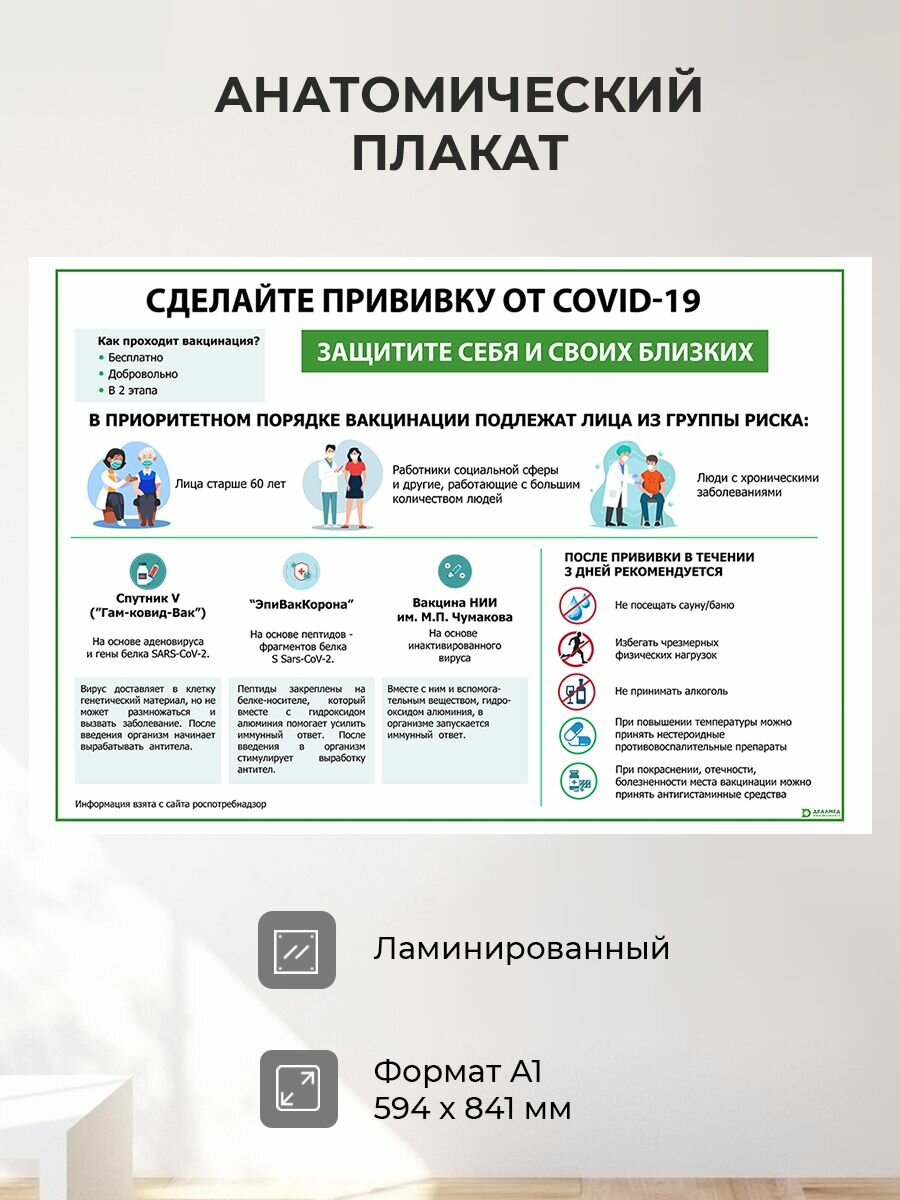 Обучающий медицинский плакат ламинированный формат А1 Сделай прививку от Коронавируса