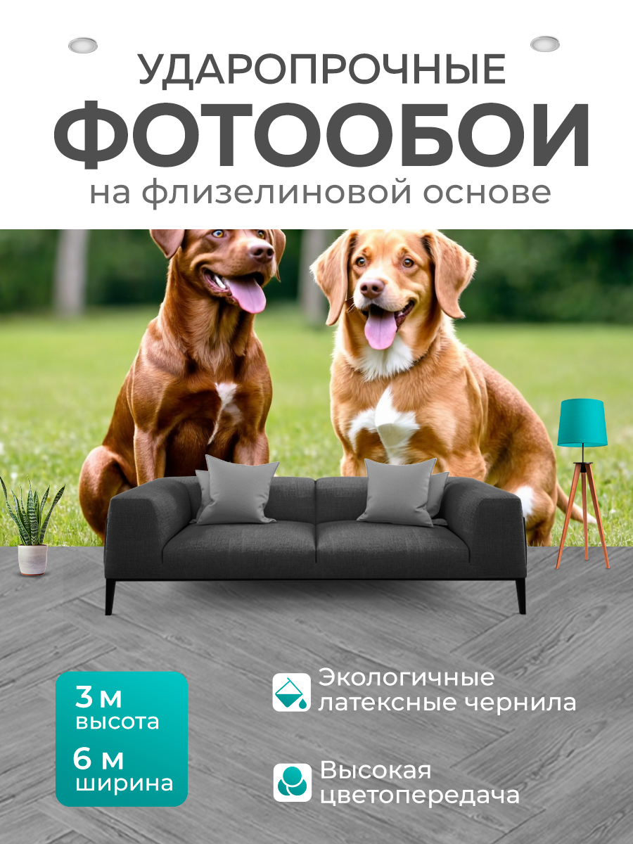 Фотообои моющиеся ударопрочные "Собаки, участвующие в фотографии с природным фоном, показывающие свои лучшие качества" 600x300 см. флизелиновые на стену