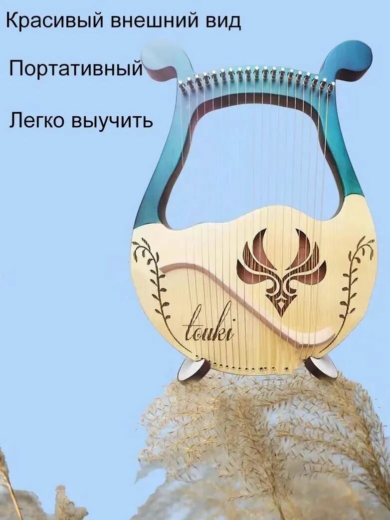 Струнный инструмент — фото 1