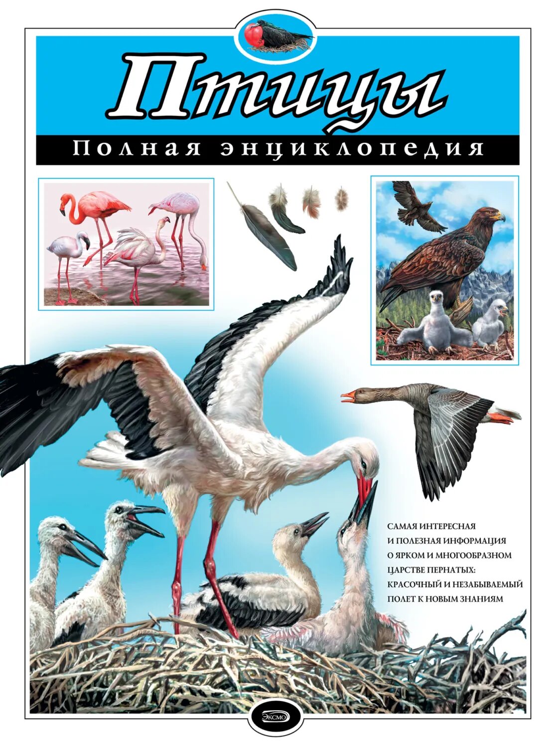 Птицы. Полная энциклопедия [Цифровая книга]
