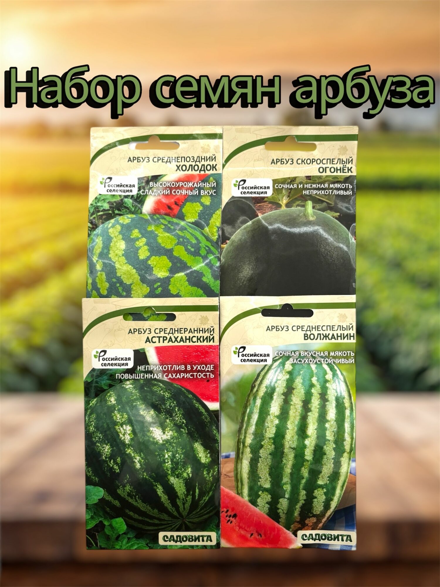 Набор семян арбуза - 4 сорта, Садовита