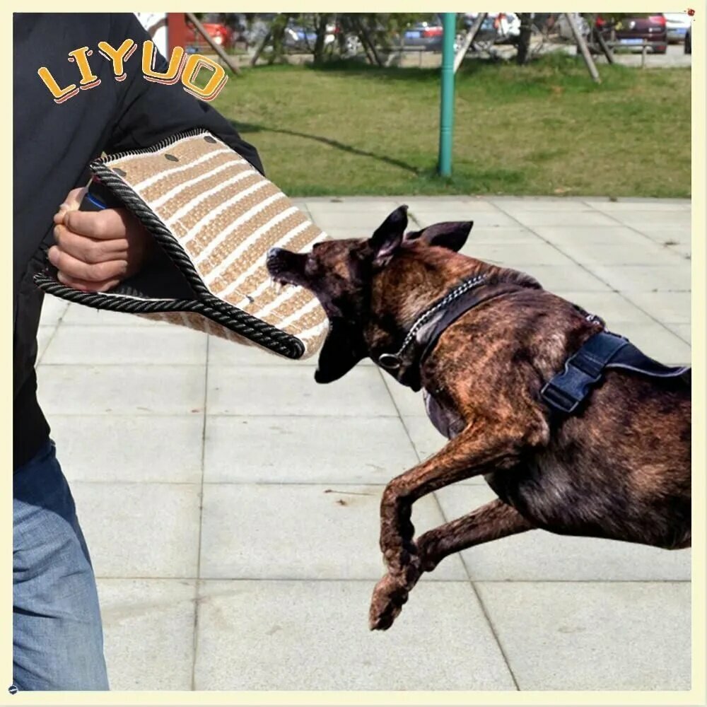 Собачья кусочка клина