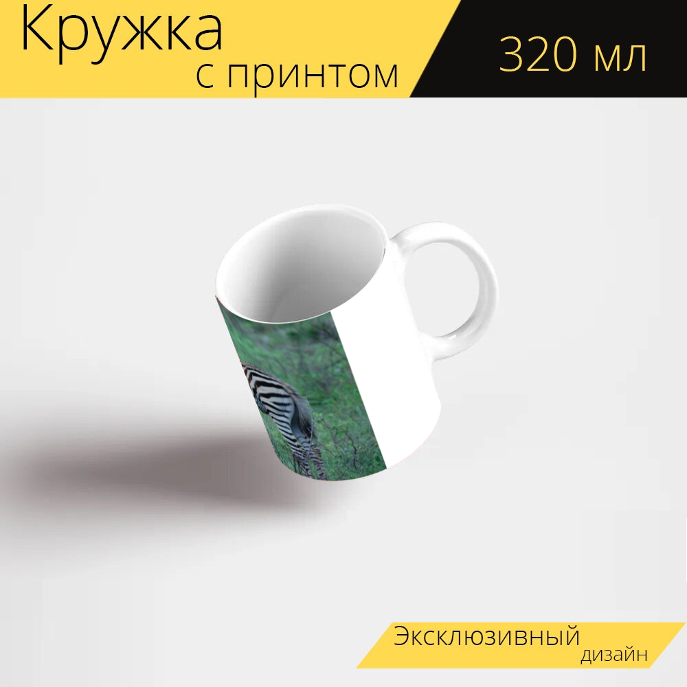 Кружка с рисунком, принтом "Зебра, baby зебра, африка" 320 мл.