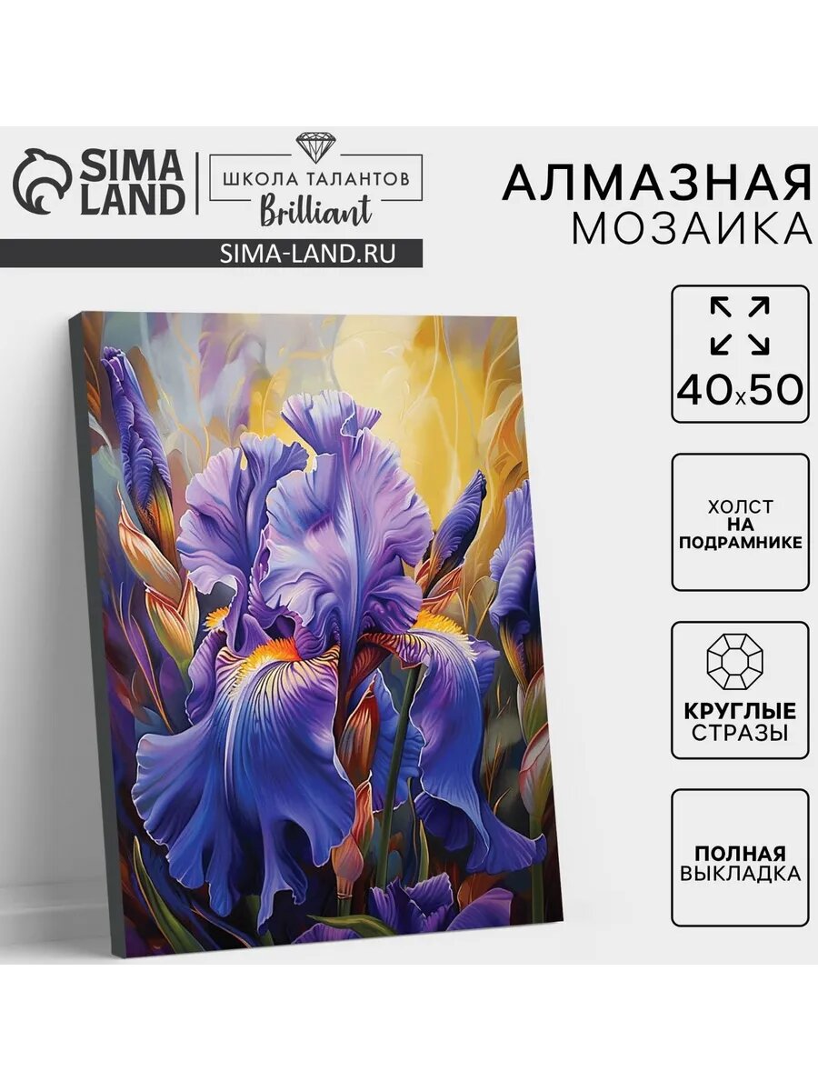Алмазная мозаика на холсте на подрамнике Ирисы