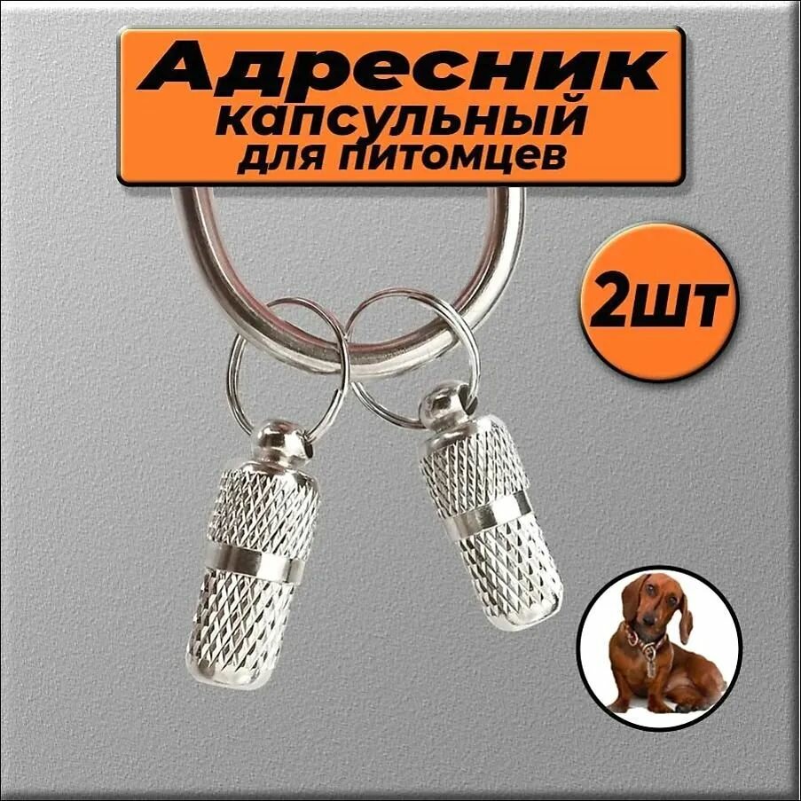 Адресник капсула на ошейник для собак, 2 шт, 2.2 х 0.8 см, никелированная латунь, бумажный вкладыш