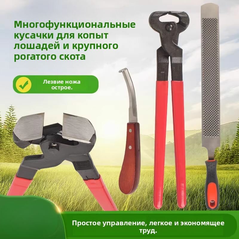 Набор для расчистки копыт 3 шт: клещи 35см, рашпиль 50см, нож 22.5см + крючок и щетка в подарок лошадей и КРС