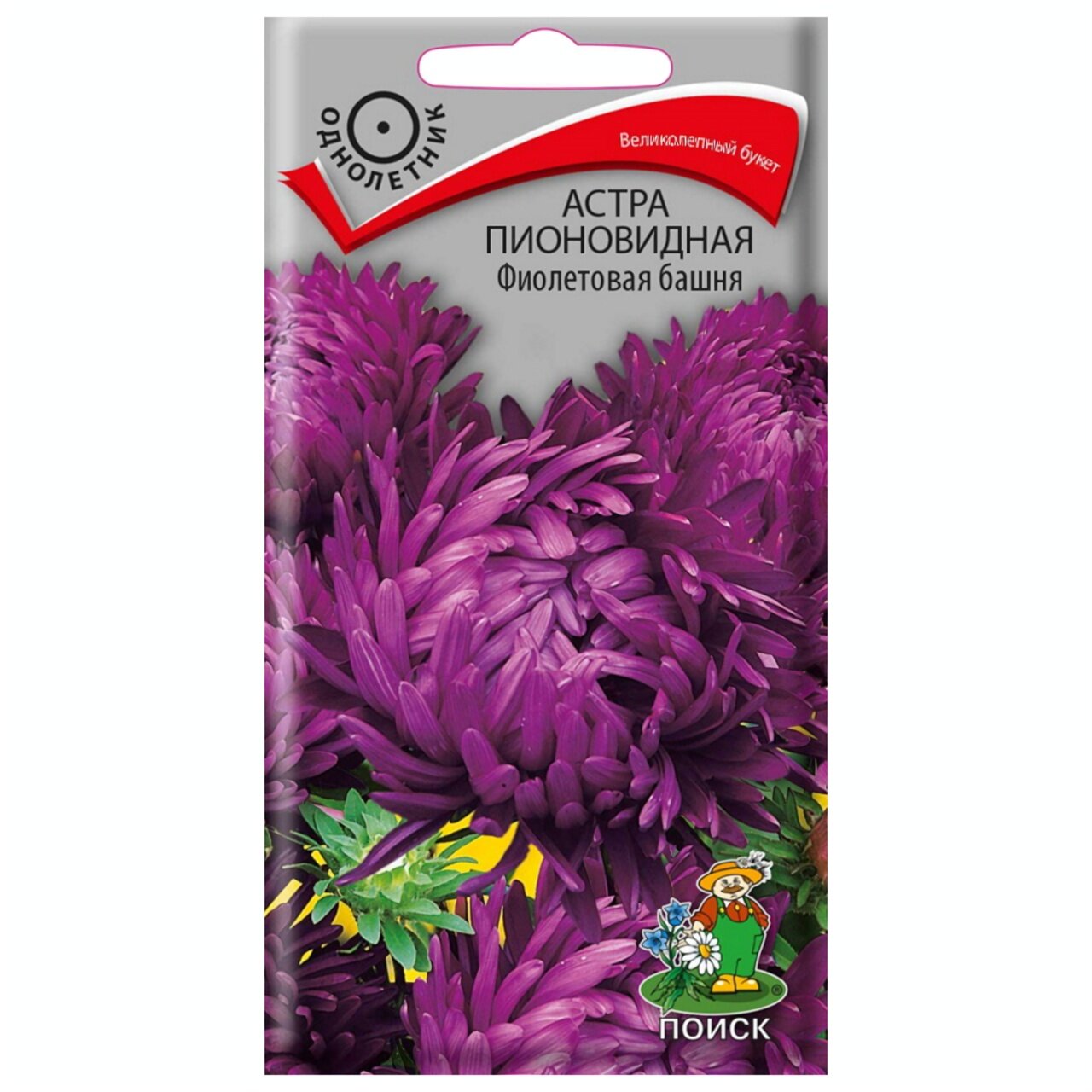 Семена Астра пионовидная Башня фиолетовая поиск 0,3г, для дачи, сада, огорода и на рассаду