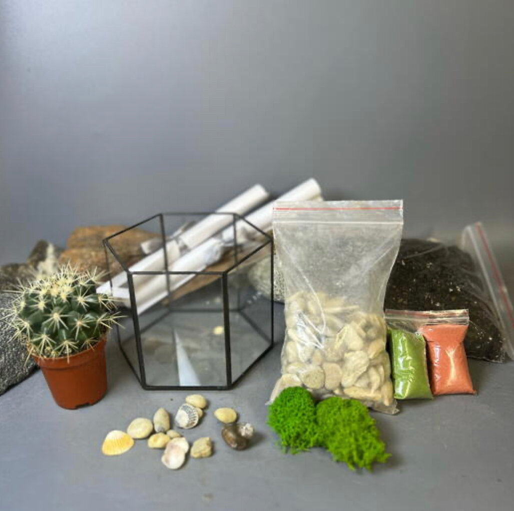 Набор "Сделай Сам", для создания флорариума, с кактусом, бежевый