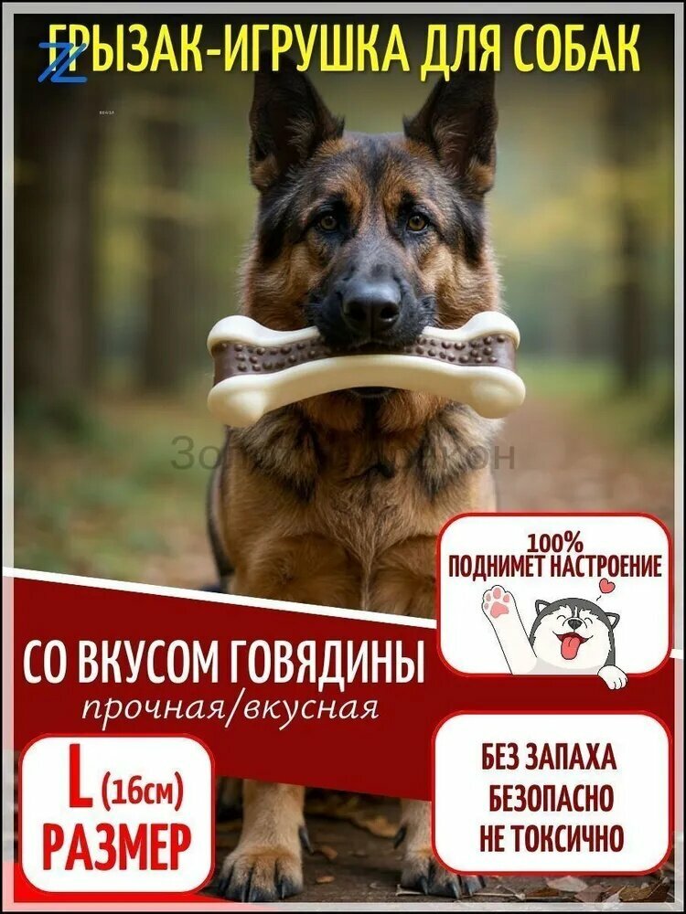 Жевательная кость для собак с ароматом говядины