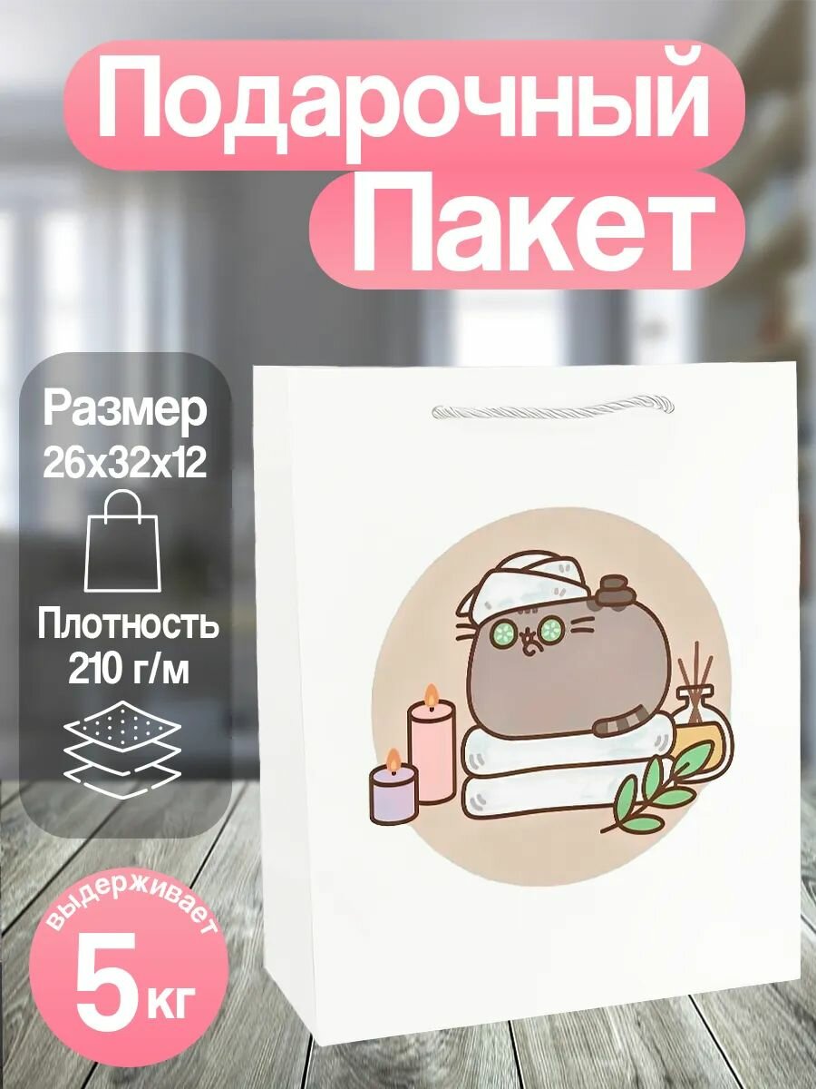 Пакет подарочный пушин кот