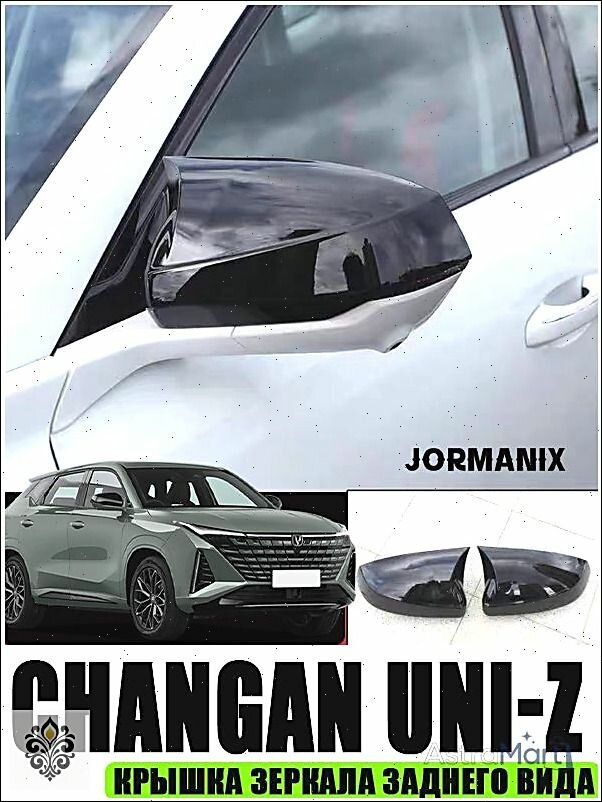 Защита внешних частей Changan F206, ABS-пластик, для легковых автомобилей, 2шт.