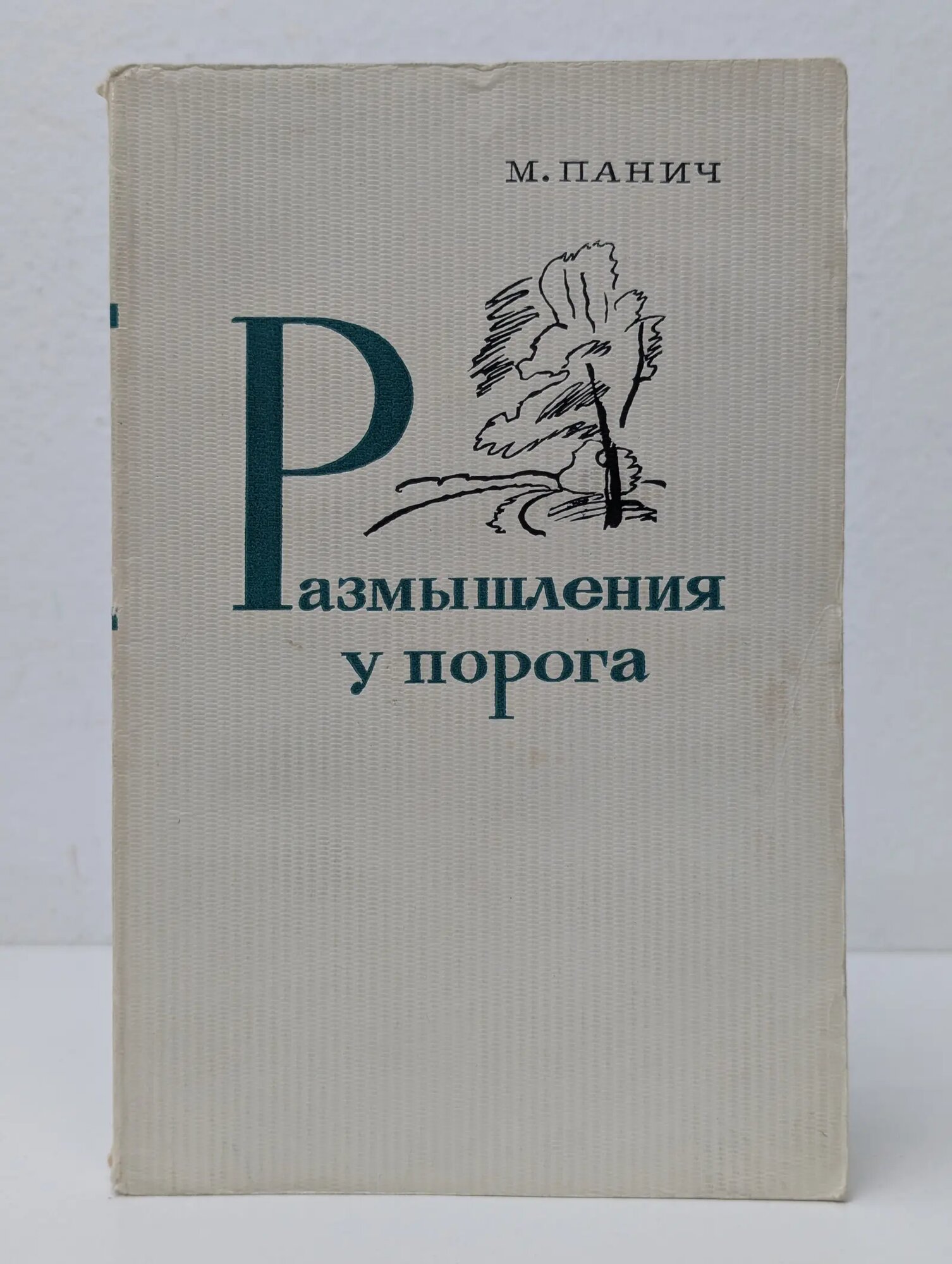 Размышления у порога Панич Михаил Семенович 1972