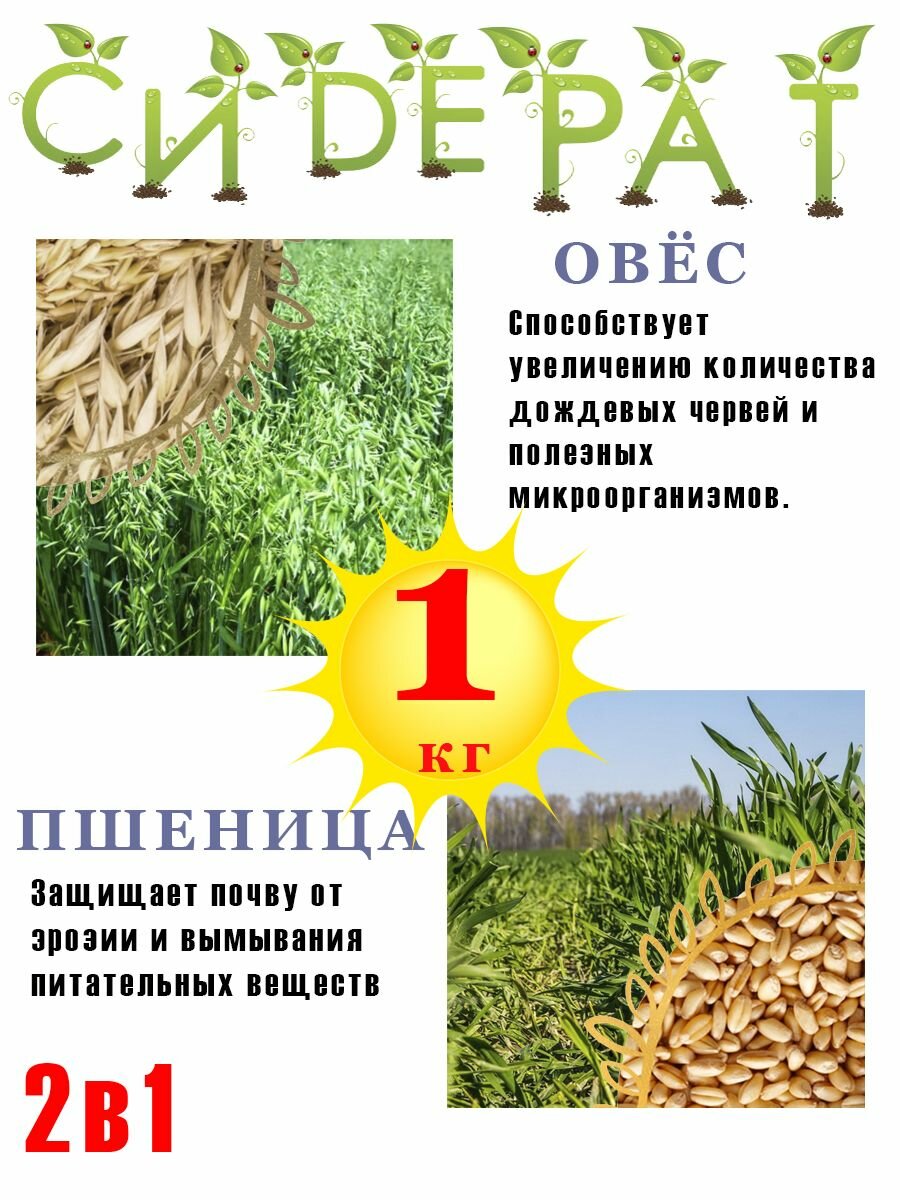 Сидерат Овес Пшеница 1кг