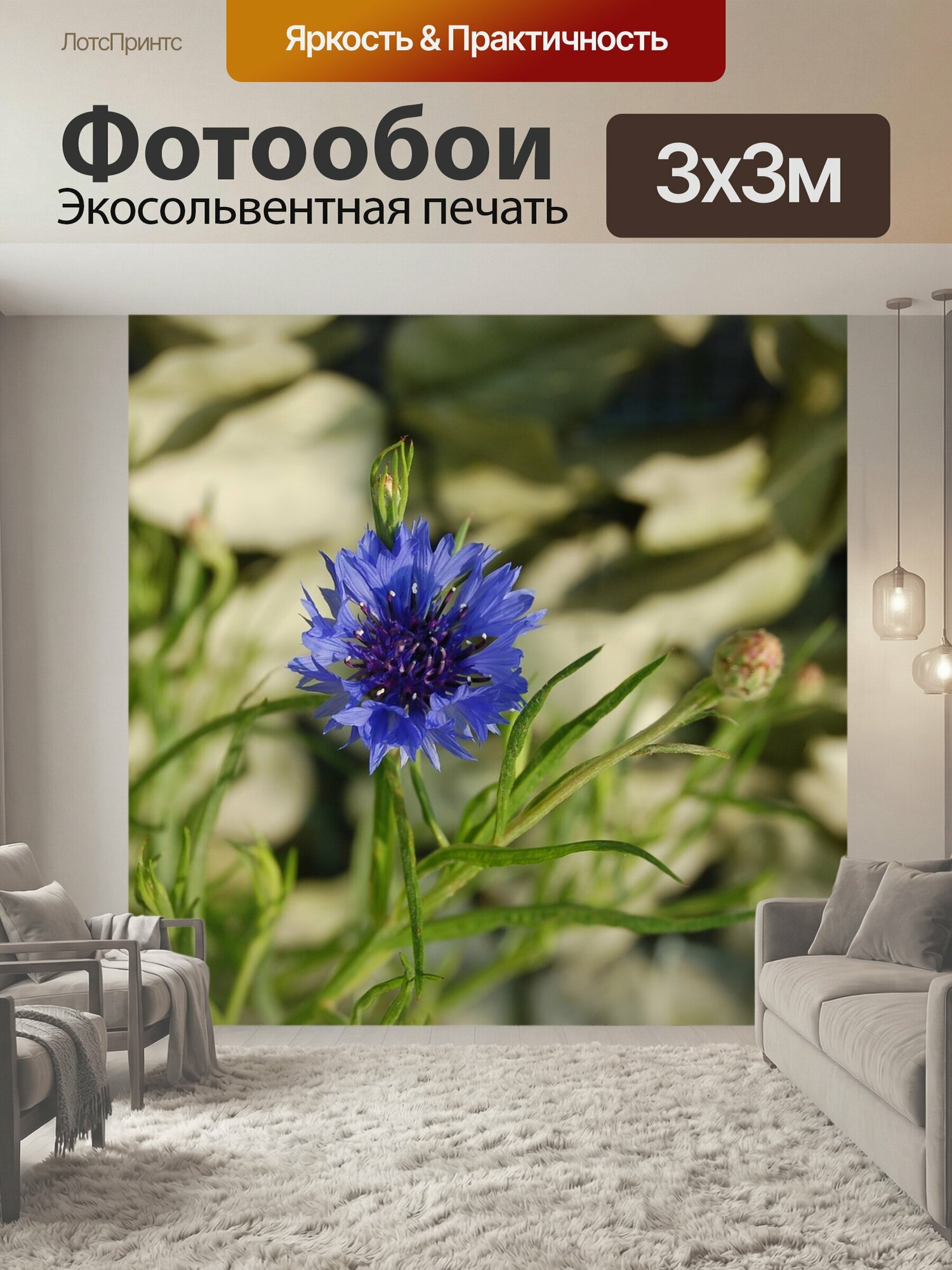 Фотообои "Василек, природа, цветок" 300x300 см. экосольвентная печать