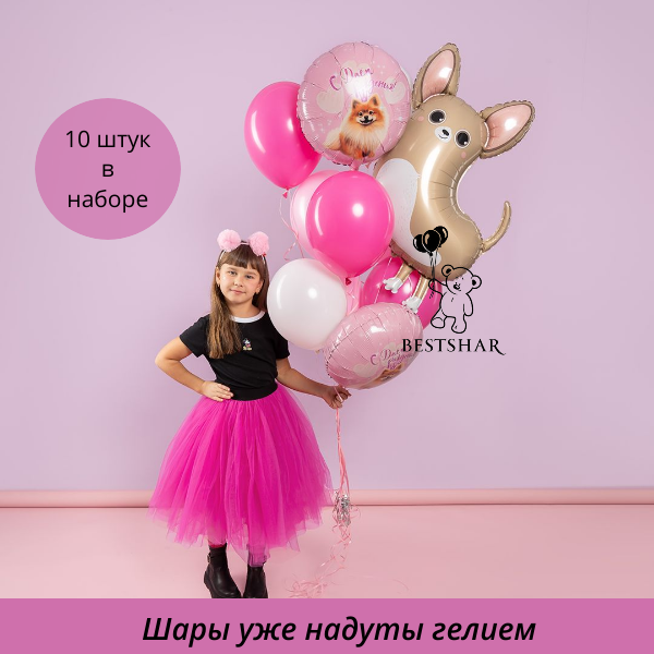 Набор воздушных шаров для девочки Best Shar с Чихуахуа, наполнение гелием, 10 шаров