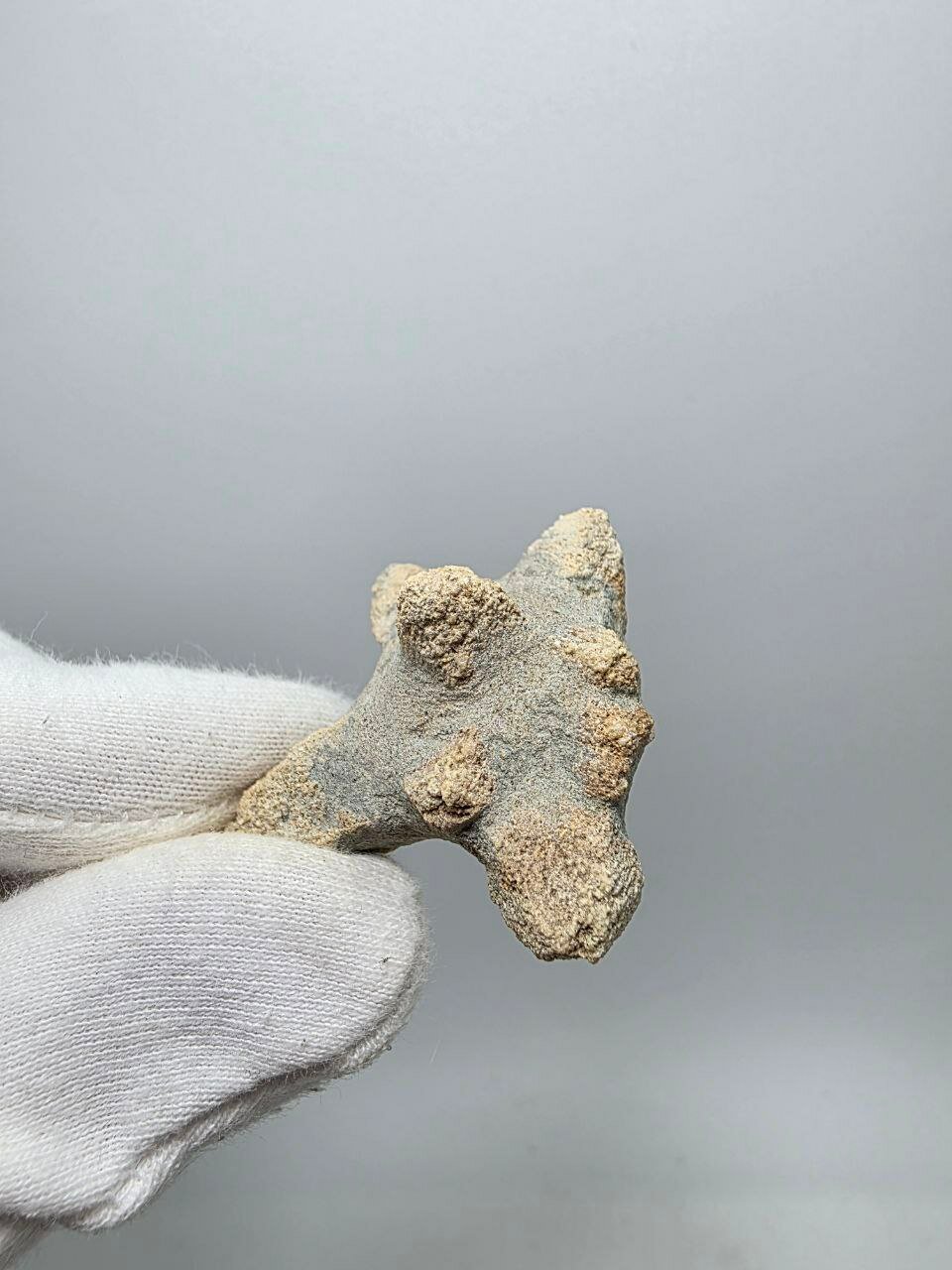 Глендонит 49 мм, 31 г.