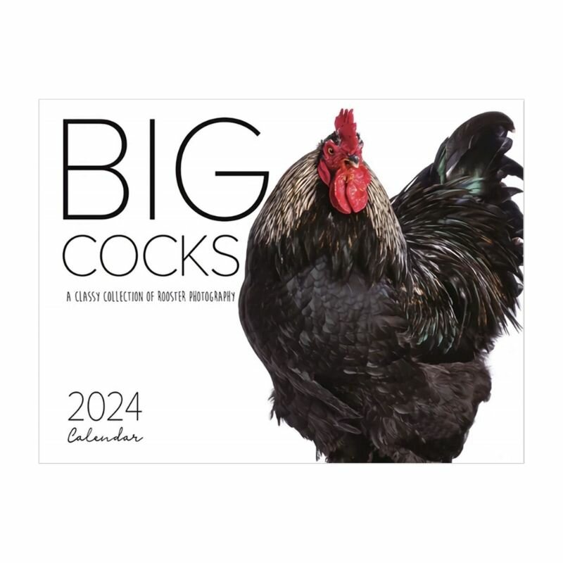 Календарь на 2024 год с изображением петухов, подходит для офиса или в качестве подарка на вечеринку