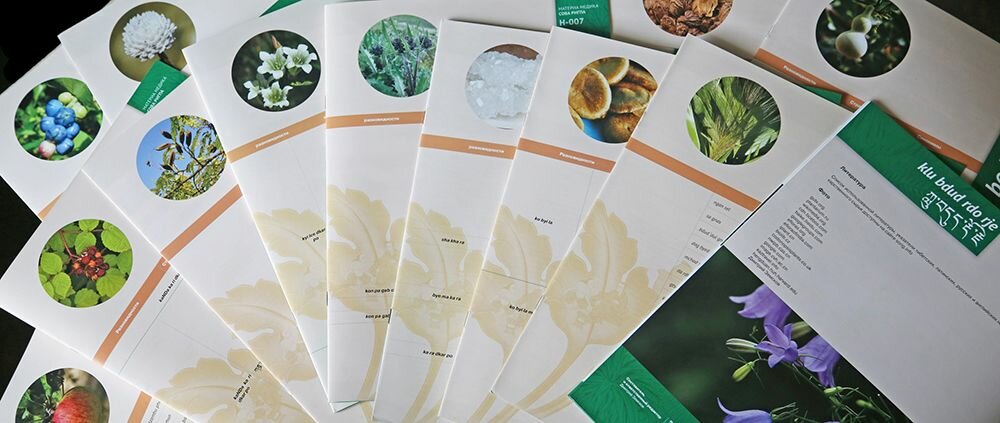 Комплект карточек Энциклопедия Материя Медика сова ригпа, номера 1,2,3