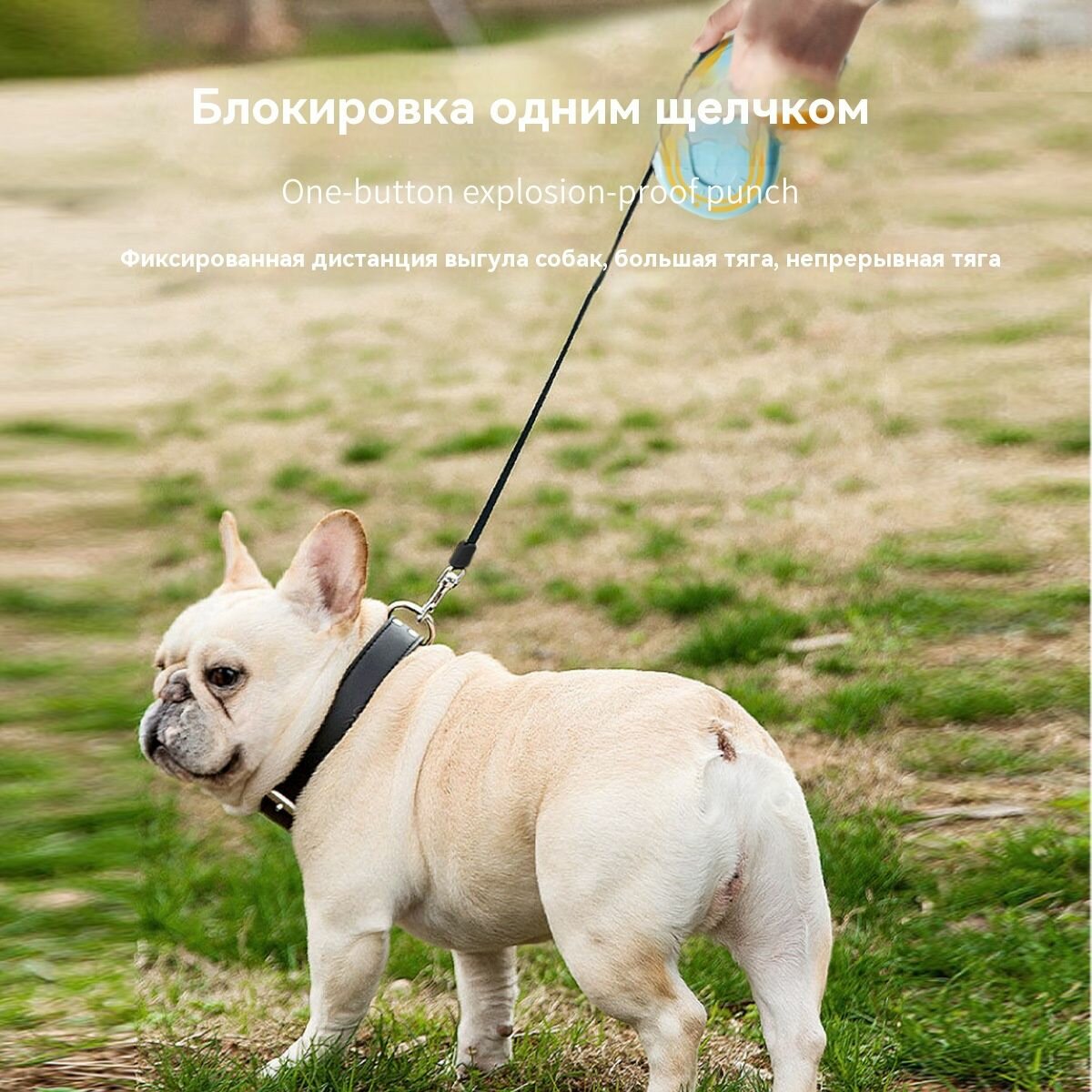 Поводок-рулетка, для собак, ABS пластик, 5м, фиолетовый Животные ходят по магазинам, собаки тянут, а кошки тянут — фото 1