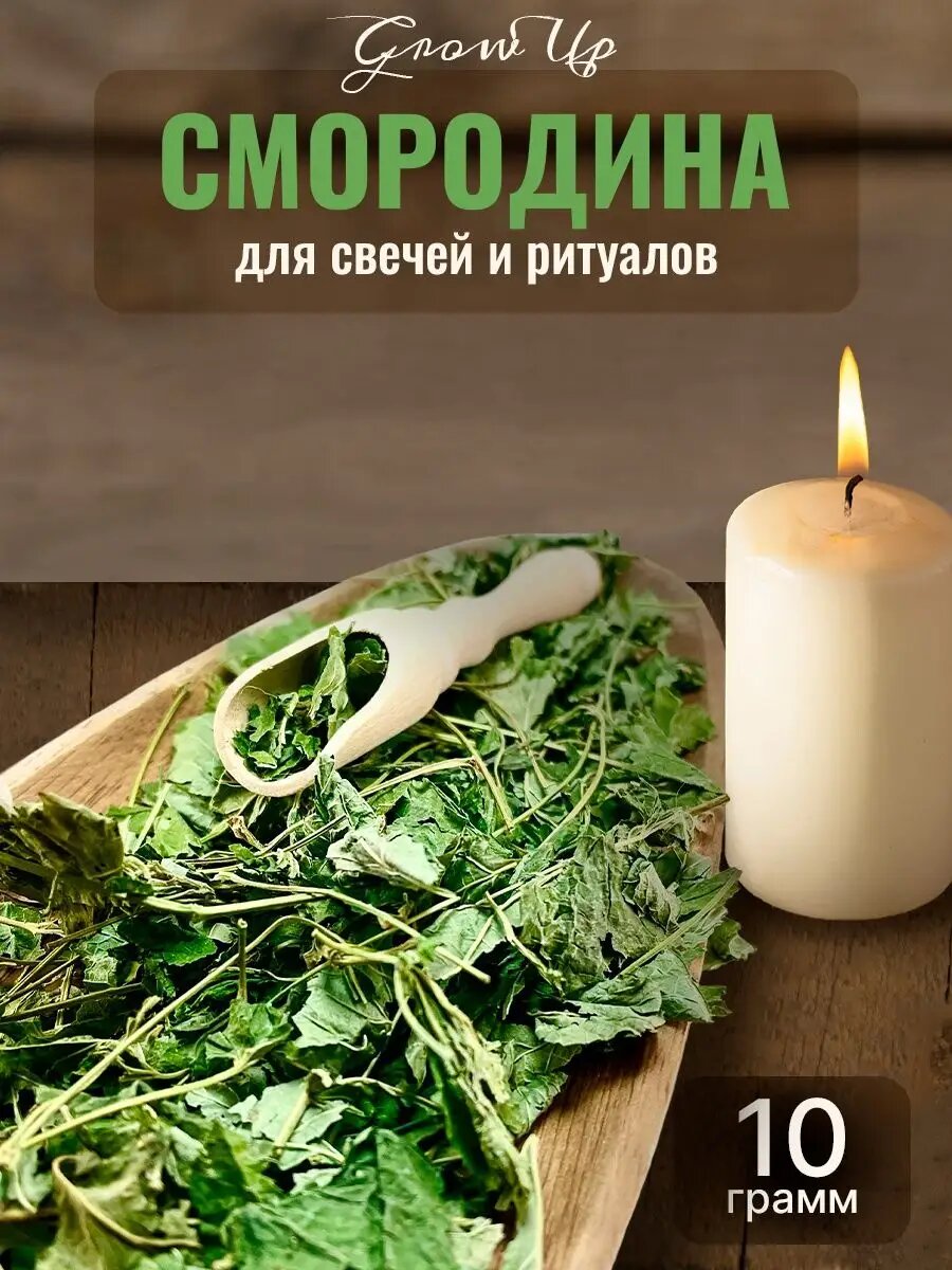 Смородина сушеные листья 10 гр - сухоцветы для свечей, творчества и ритуалов