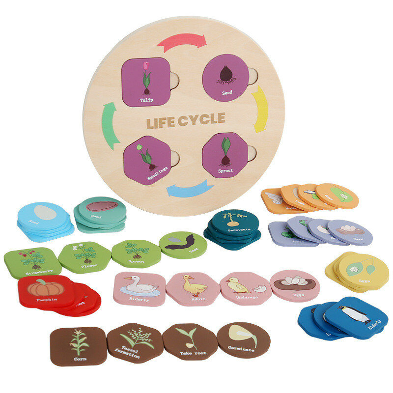 Wooden growth cycle puzzle for children educational play toy for learning and development