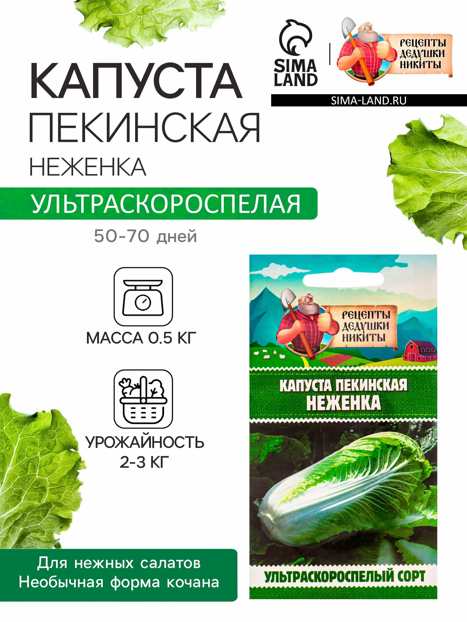 Семена Капуста пекинская "Неженка", 0.1 г, ультраскороспелая