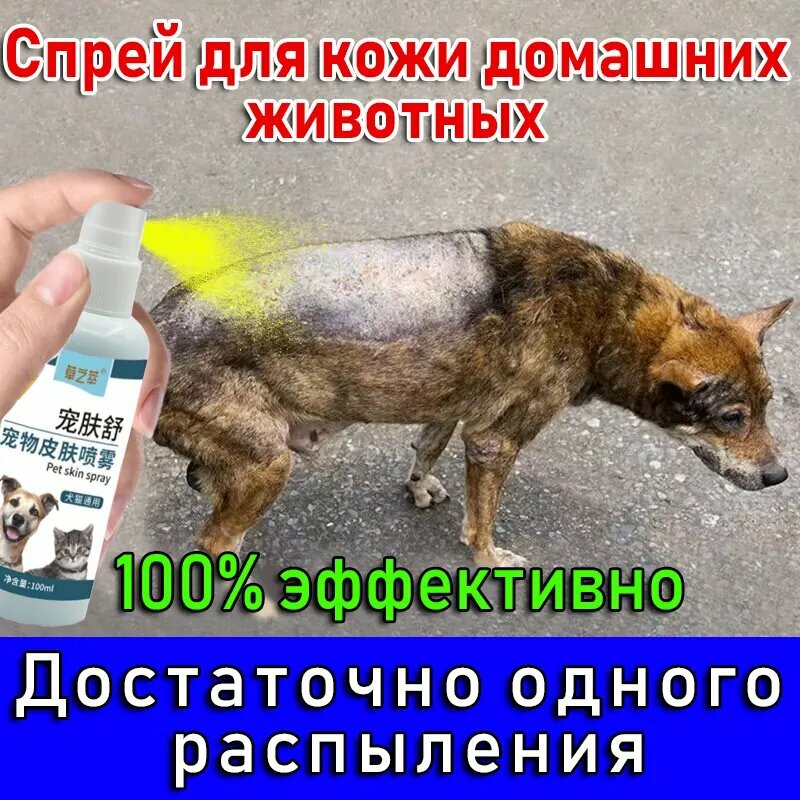 Спрей для лечения кожных заболеваний собак используется при зуде, выпадении волос и эрозии, 100 мл.