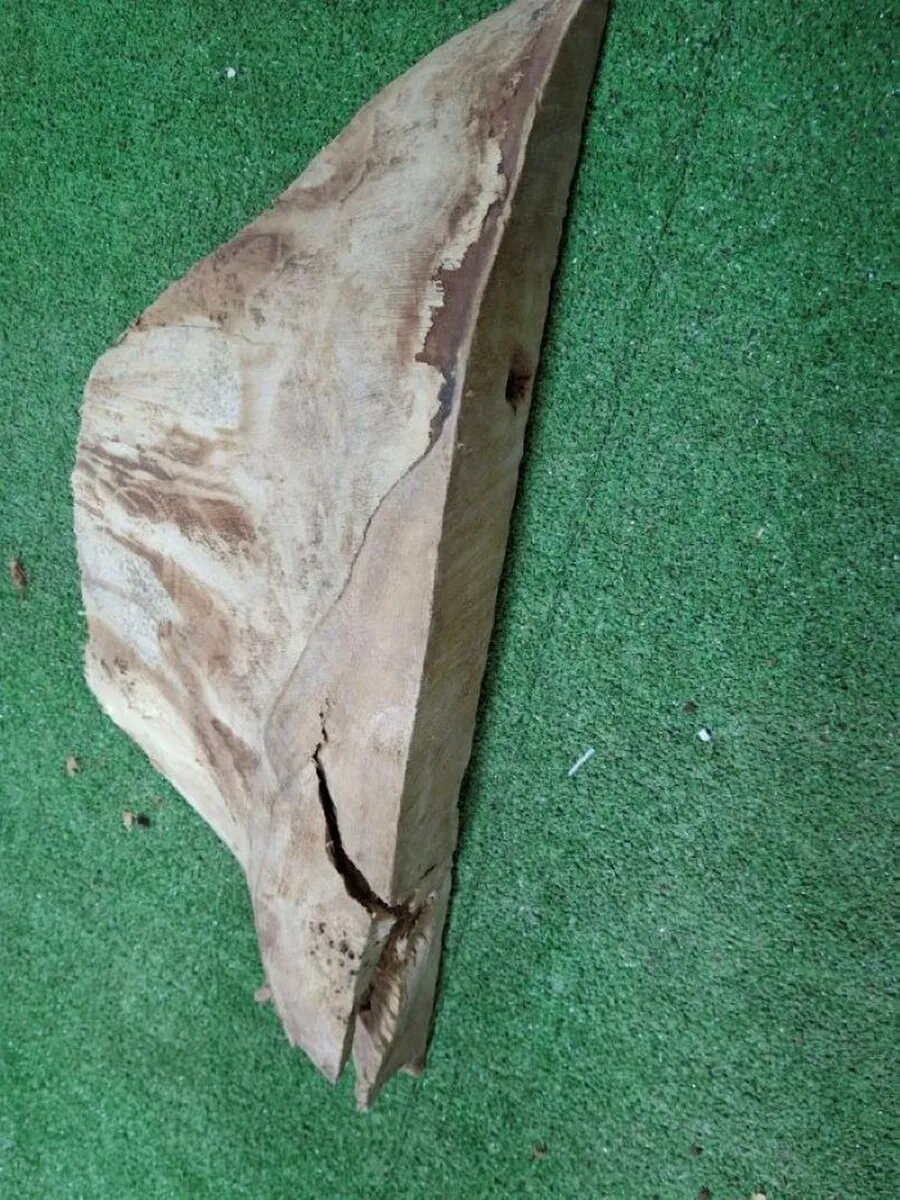 Заготовка для творчества тополь (550-270-80 мм)