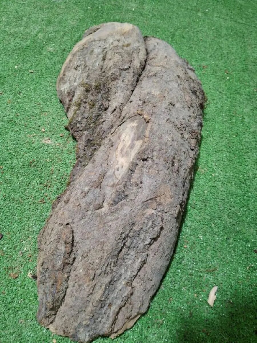 Слэб массив Бук (630-290-90 мм)