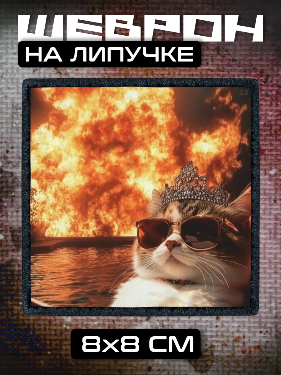 Шеврон на липучке Мем коты