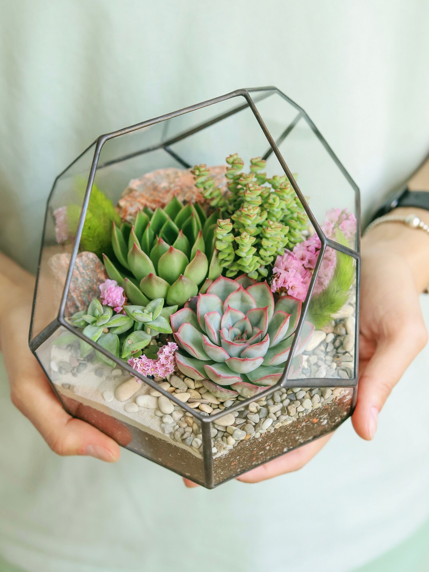 Флорариум с неприхотливыми суккулентами сочный Стоун в стеклянной форме