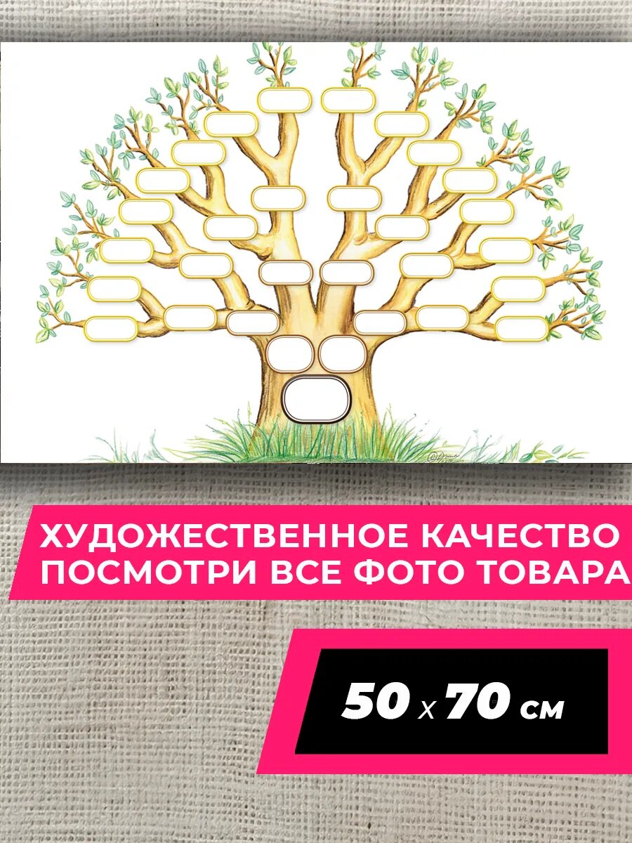 Постер Древо семьи на стену 50 на 70, матовая фотобумага премиум качества