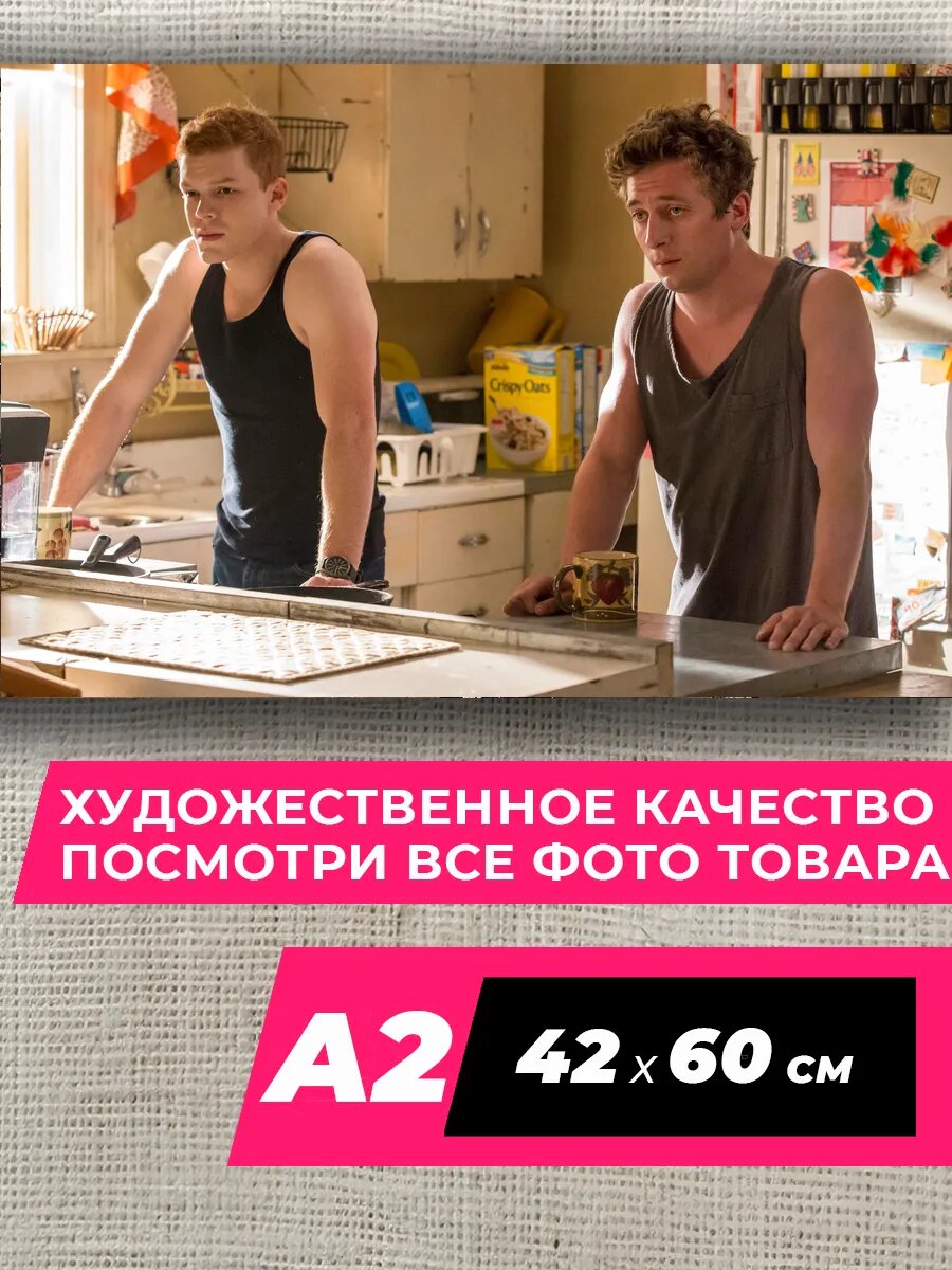 Постер Бесстыжие на стену 33 Shameless A2, матовая фотобумага премиум качества