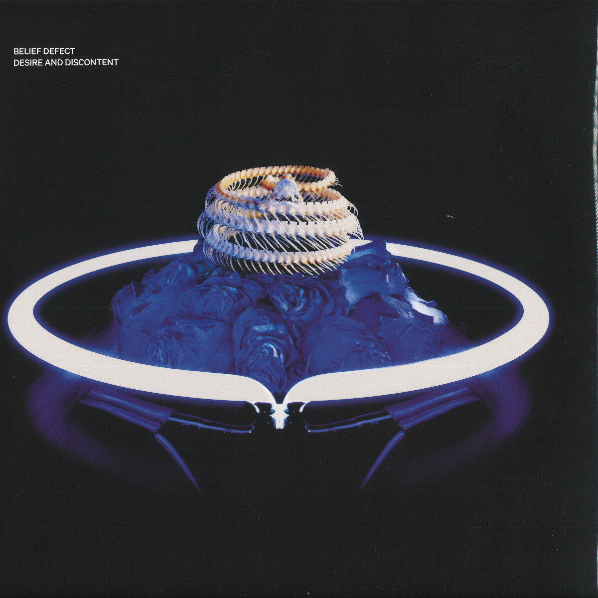 Пластинка Belief Defect - Desire and Discontent 2X12"