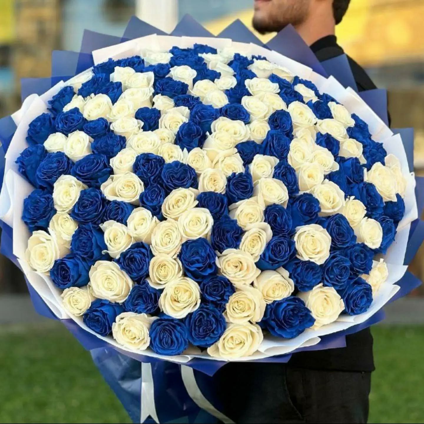 Букет из синих и белых роз 101 шт, красивый букет цветов, шикарный, премиум цветы, премиум букет