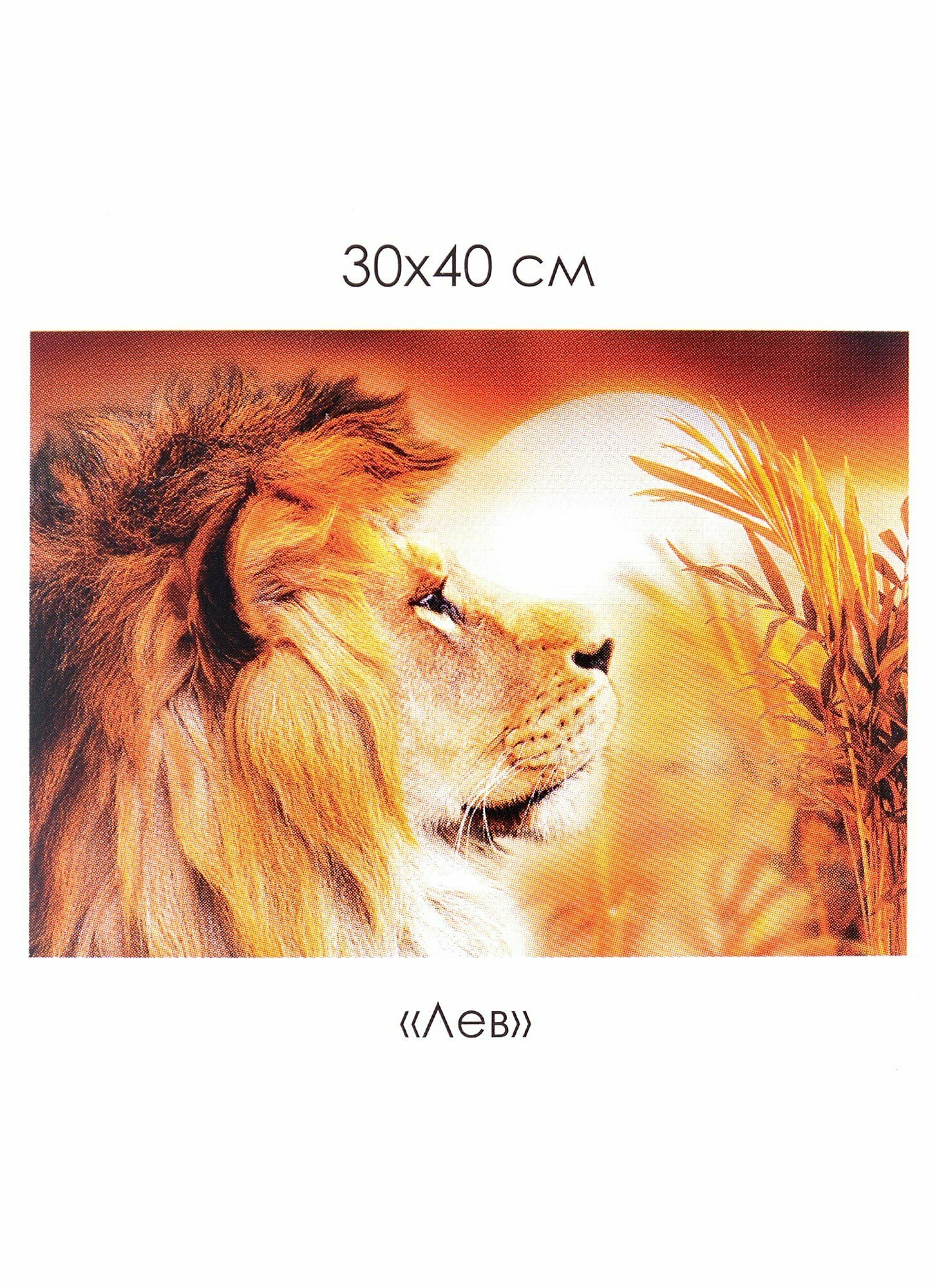 Набор для творчества. Алмазные узоры "Лев", 30 х 40 см