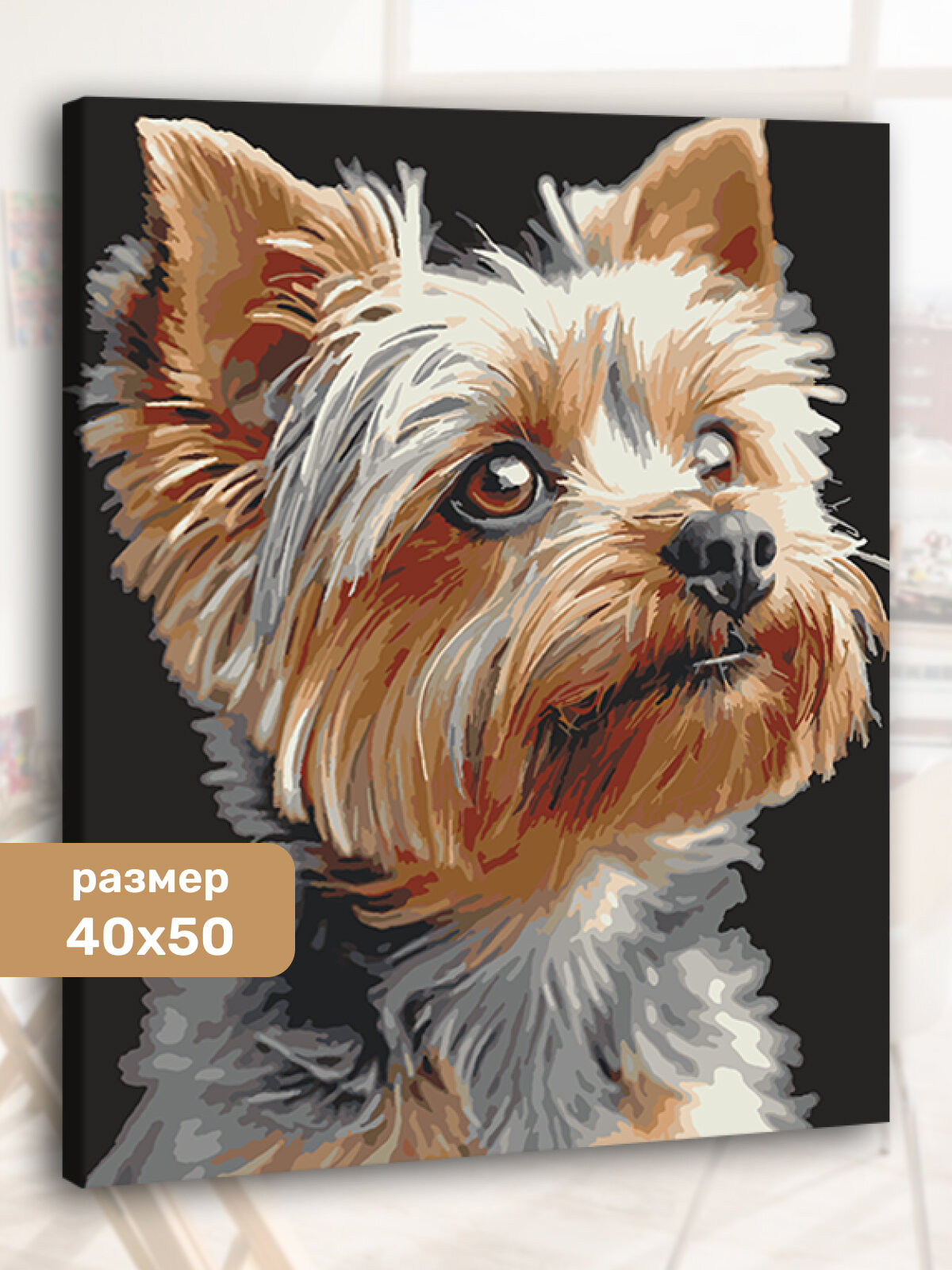 Картина по номерам на холсте и подрамнике "Йоркширский терьер" 40х50 см
