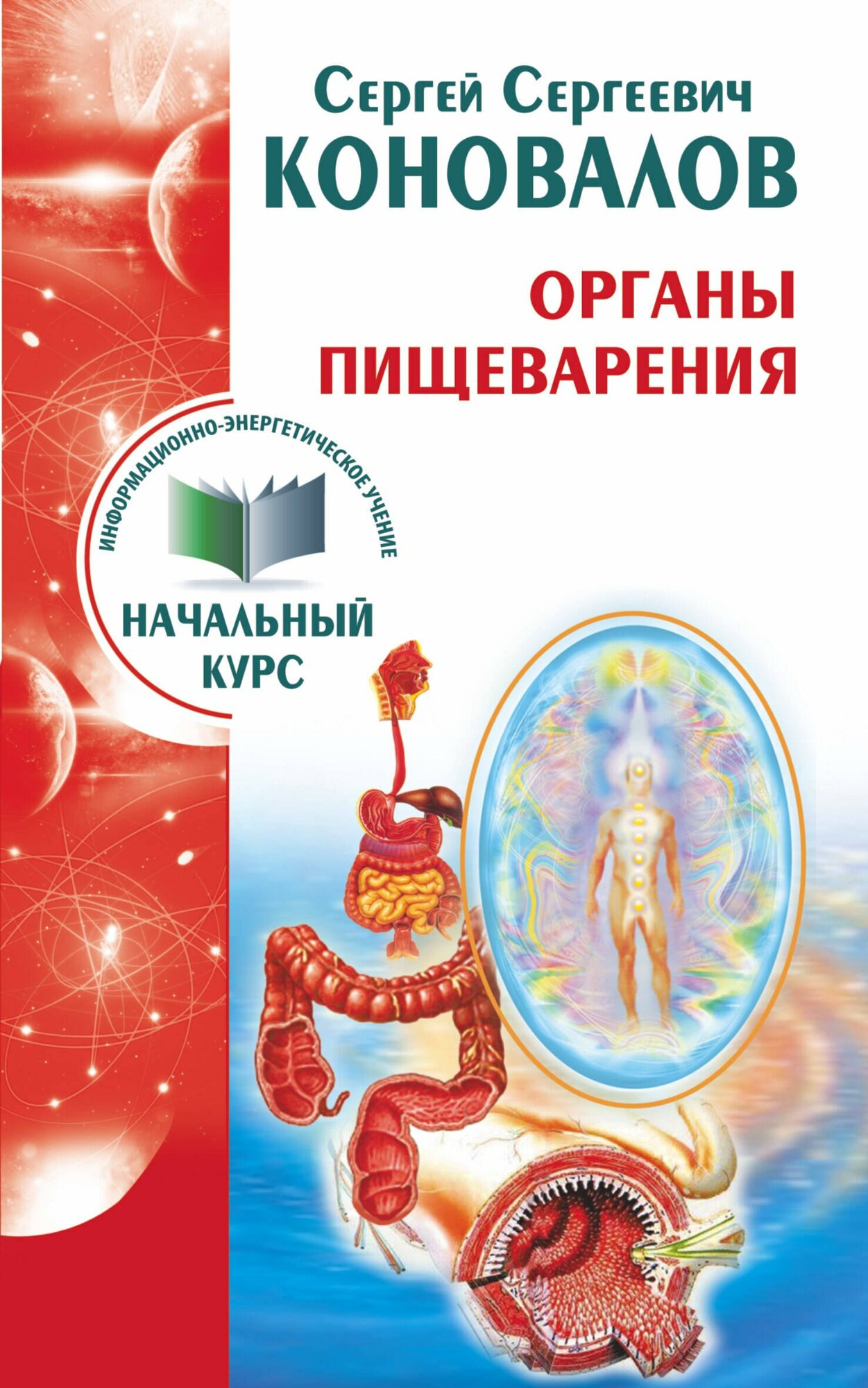 Органы пищеварения (Сергей Коновалов)