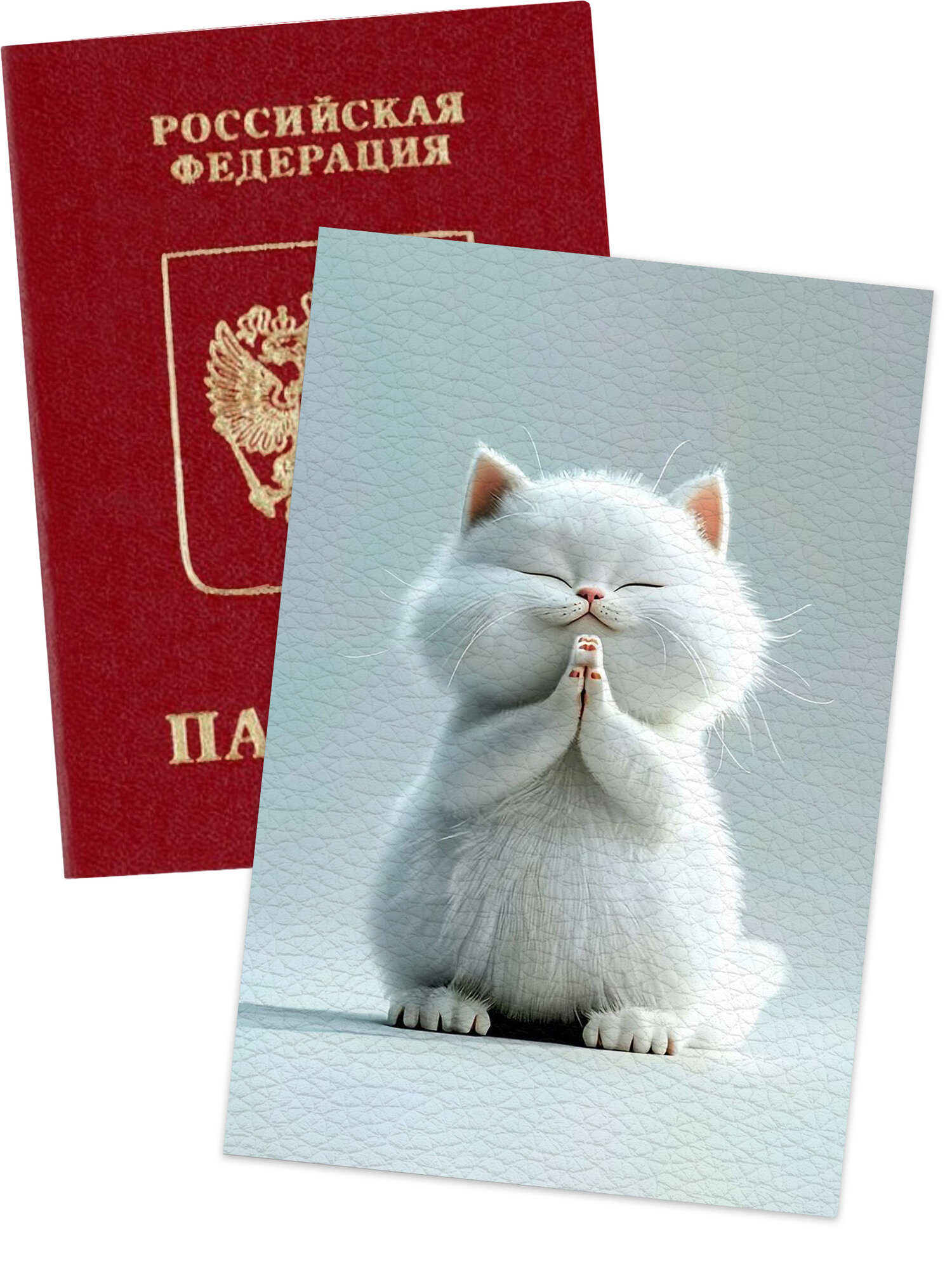 Обложка для паспорта
