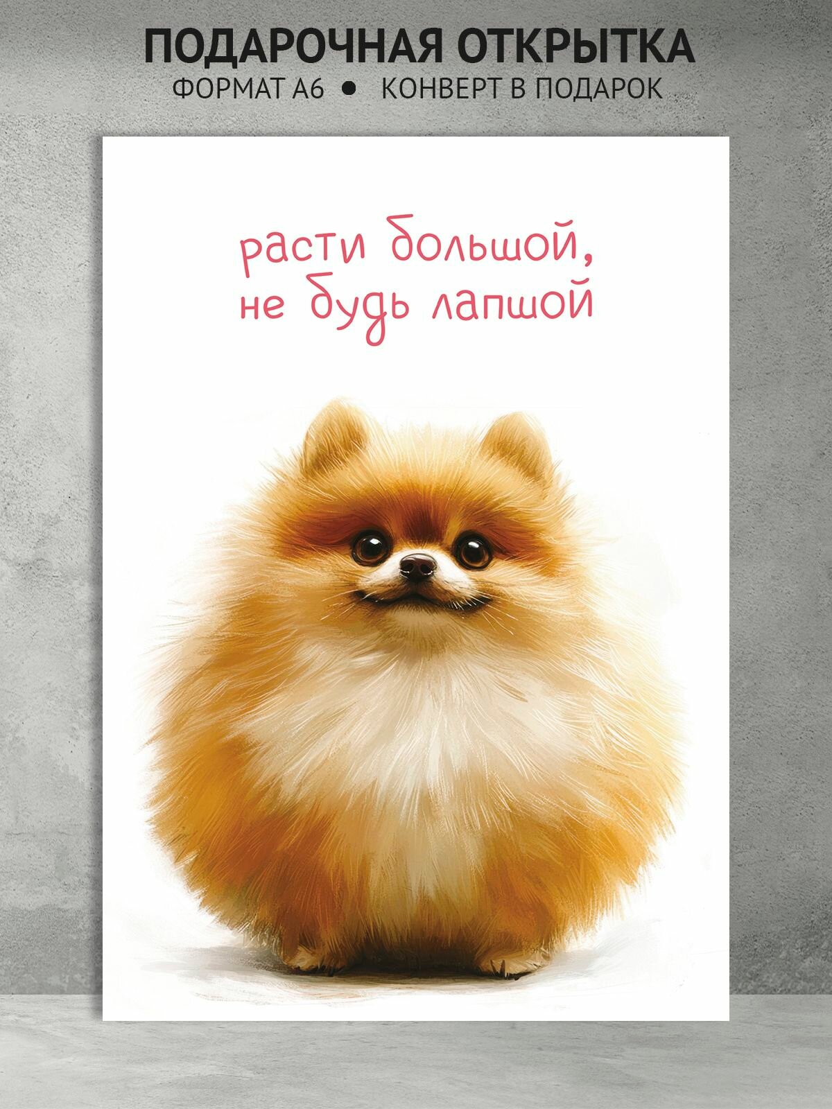 Подарочная открытка с уникальной иллюстрацией шпиц "Расти большой, не будь лапшой" с днем рождения, с юбилеем, без повода