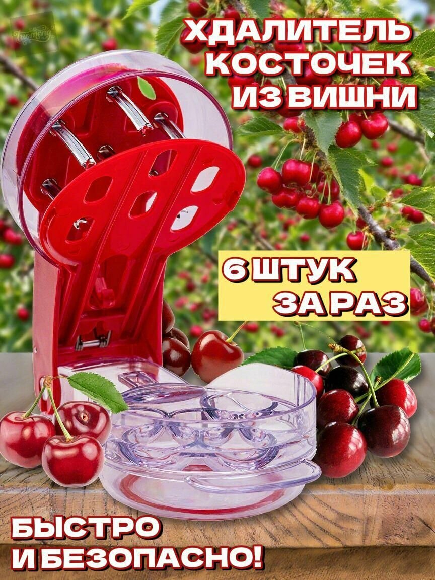 Отделитель косточек